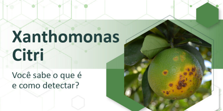 Xanthomonas citri - C4 Científica